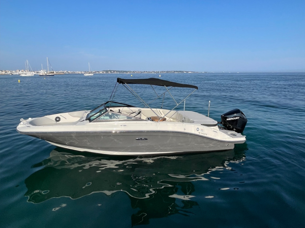 SPX 210 – Sea Ray - Elite Marine Services